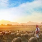 Grace thru faith – The Bible made clear & simple.